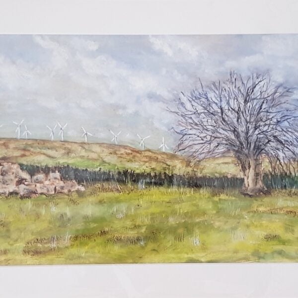 Gallery – Stonehaven Art Club